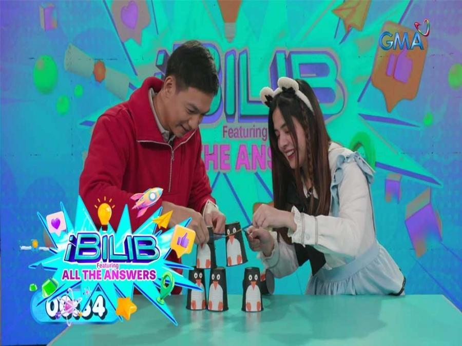 iBilib: Learning elasticity with the Penguin Pyramid Challenge! | GMA ...