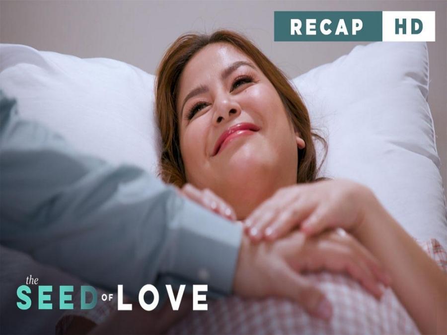 The Seed of Love: The insane ex-girlfriend controls Bobby! (Weekly ...