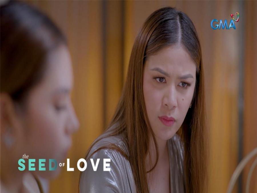 The Seed of Love: Destiny is making a way for Eileen and Alexa to meet again (Episode 56) | GMA ...