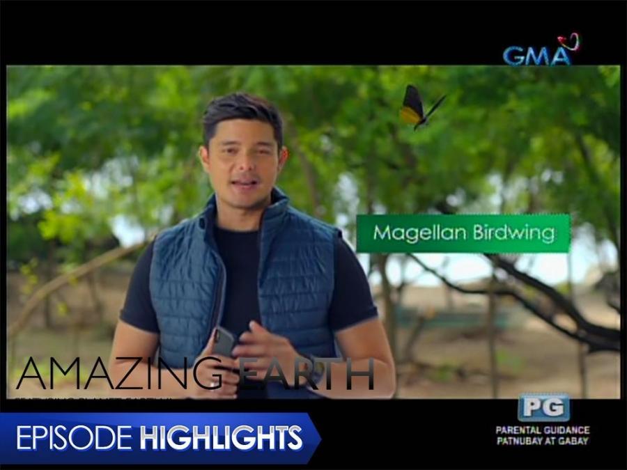 Amazing Earth: Magellan Birdwing | GMA Entertainment