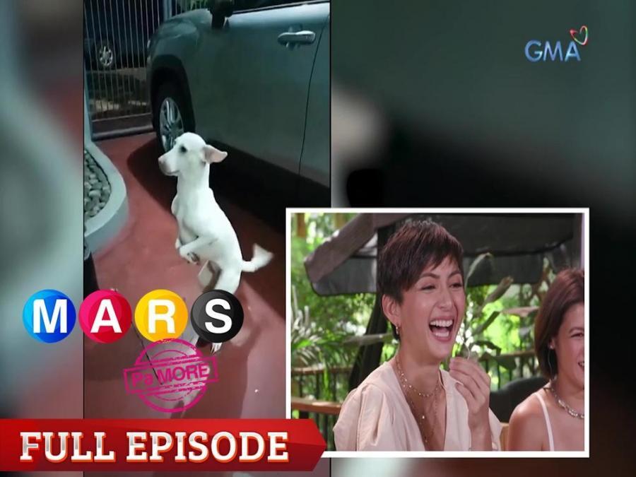 Mars at Pars, natunaw ang puso sa mga cute pet videos! | Mars Pa More ...