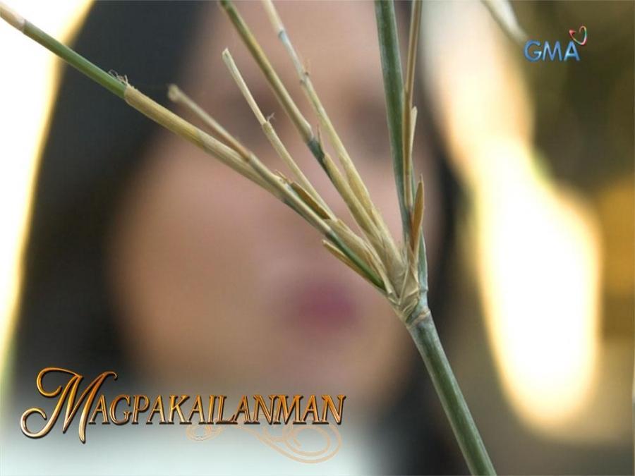 Magpakailanman: Babaeng karibal ang sariling kapatid (Full interview ...