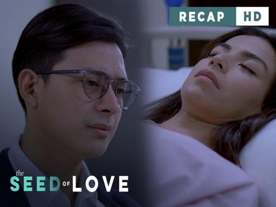 The Seed of Love: The untimely reunion of ex-lovers (Weekly Recap HD) | GMA Entertainment