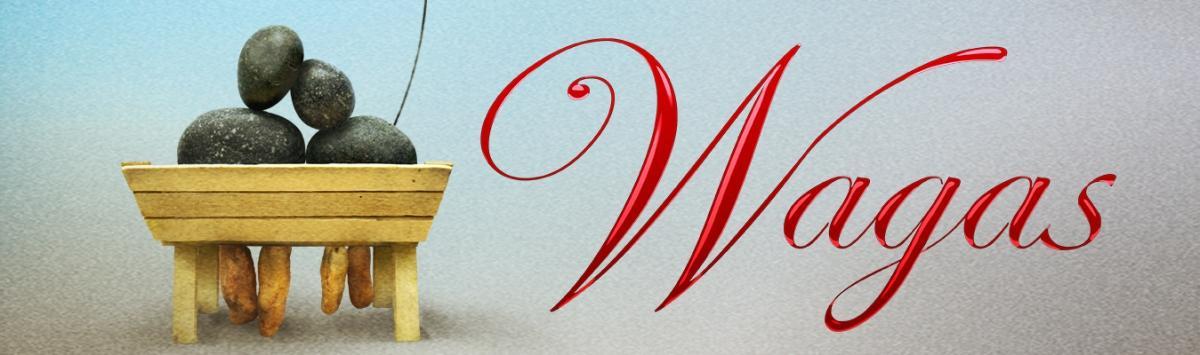 Wagas - Home - Full Episodes