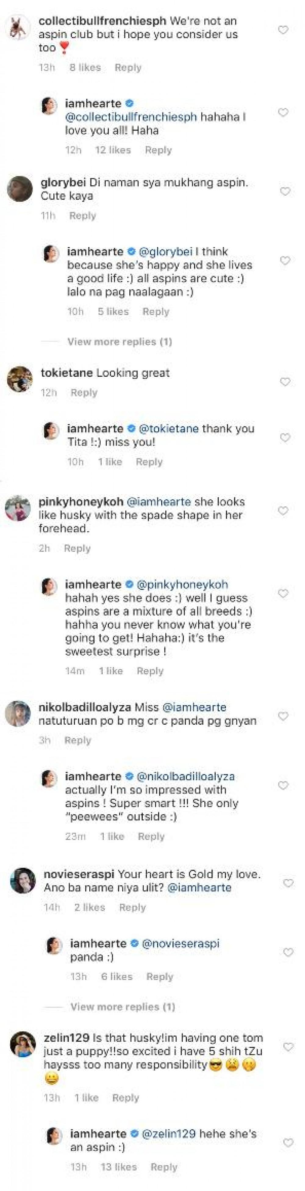 LOOK: Yayamanin na si Heart Evangelista, proud owner ng isang aspin!