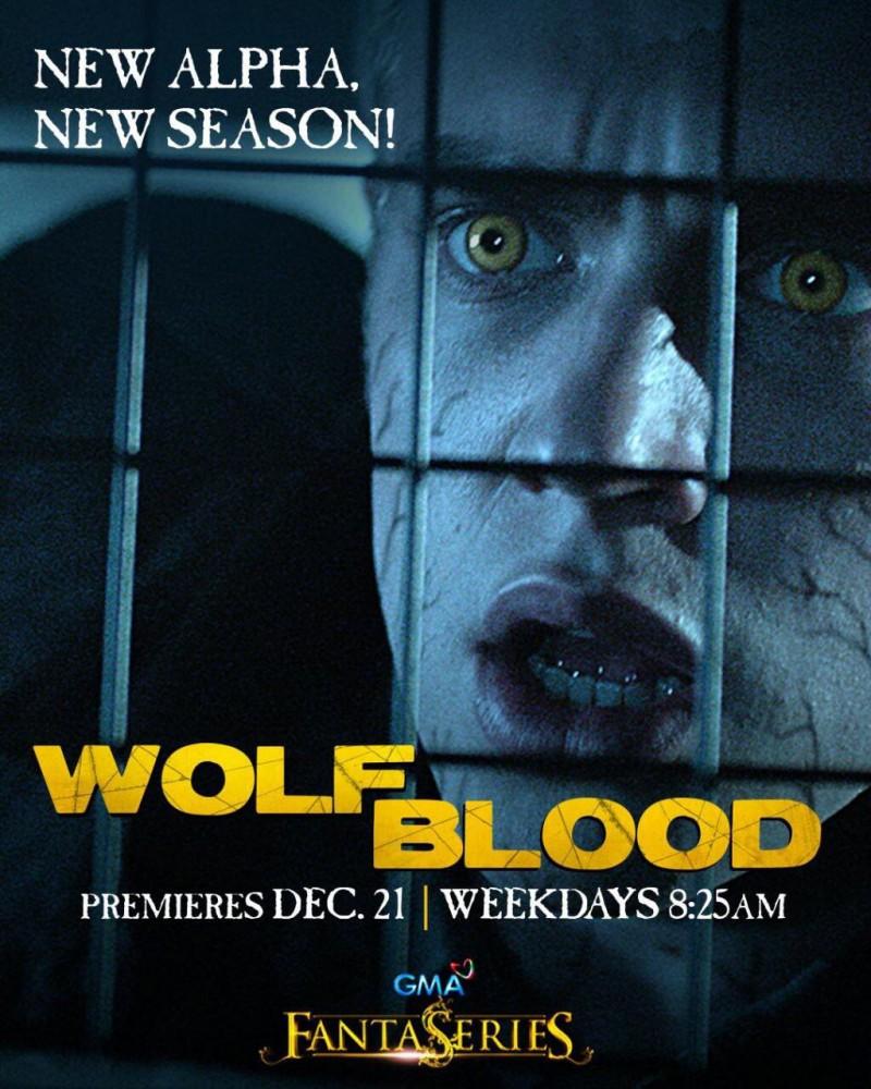 New episodes ng 'Wolfblood' mapapanood na ngayong December sa GMA ...