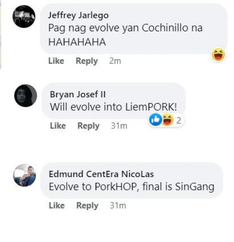 Pinoy Netizens React To New Pok mon Lechonk GMA Entertainment