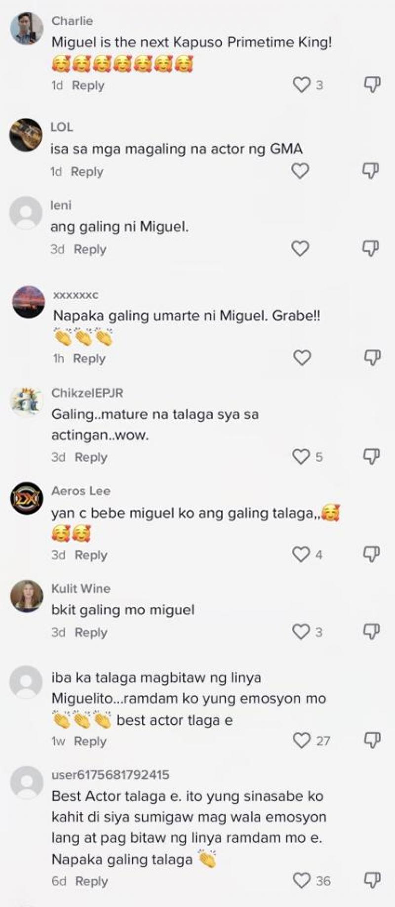 Miguel Tanfelix dubbed as next 'primetime king' by netizens | GMA ...